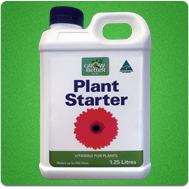 Plant Starter 1.25ltr – TRARALGON WEST NURSERY